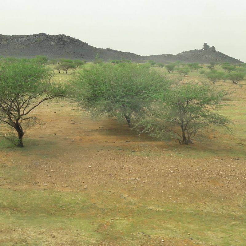 Ansongo-Ménaka Partial Wildlife Reserve - Nature reserve in ...