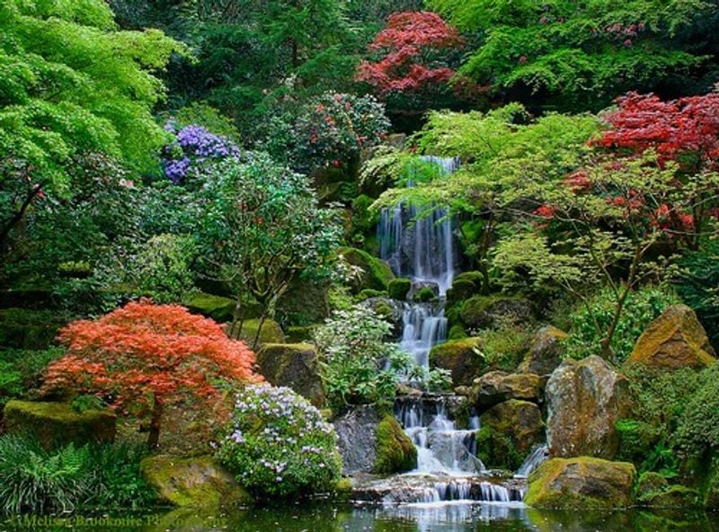 Portland Japanese Garden - Jardin japonais dans Washington Park ...