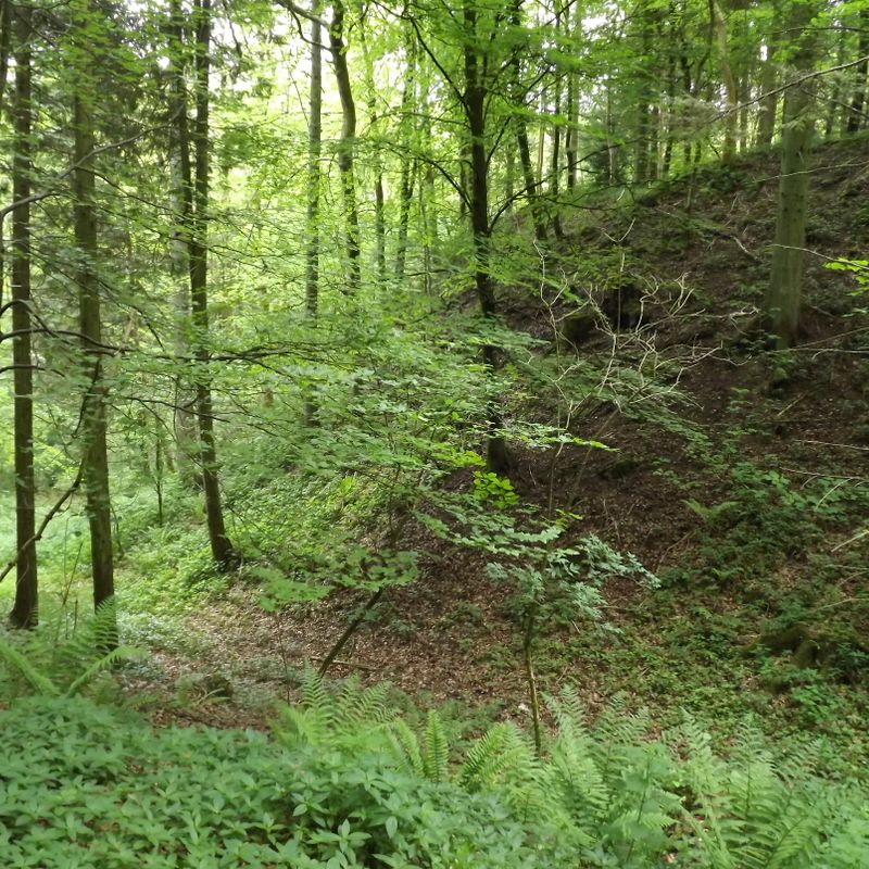 Miserden Castle - Norman motte and bailey castle in Gloucestershire ...