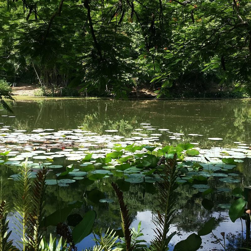 Pointe-a-Pierre Wildfowl Trust - Réserve naturelle à Pointe-a-Pierre ...